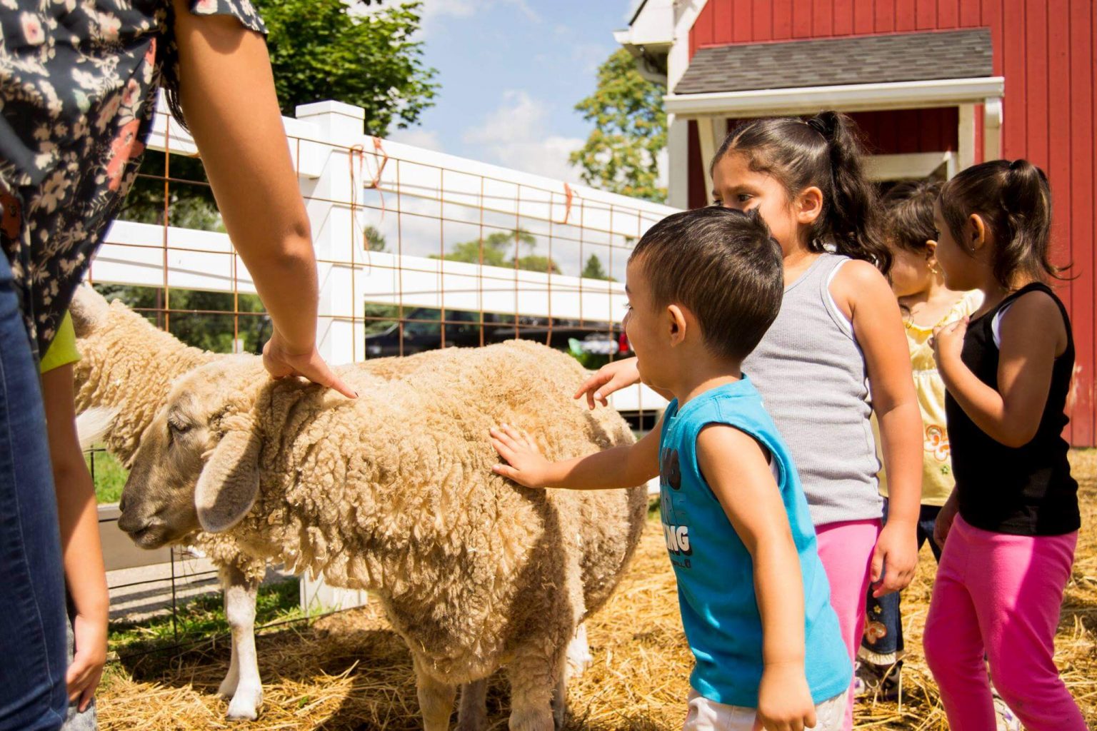 Take A Trip Downriver To Taylor’s Heritage Park Petting Farm This ...