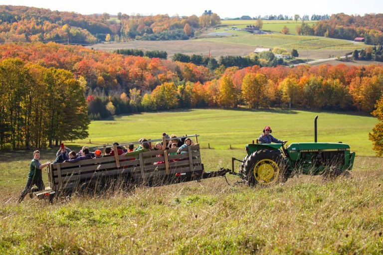 6 Reasons To Visit Petoskey This Fall - LittleGuide Detroit