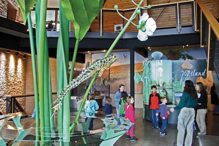 Family Guide To Nature Centers In Metro Detroit - LittleGuide Detroit