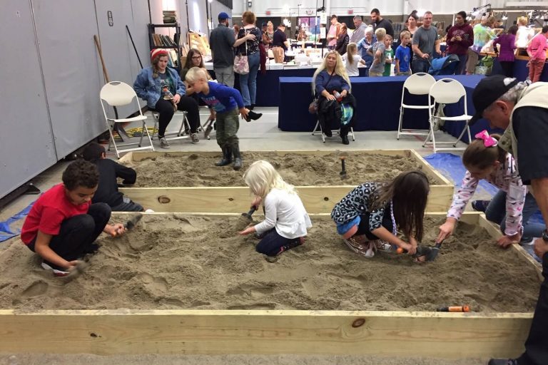 Greater Detroit Gem, Mineral & Fossil Show Coming To Detroit ...