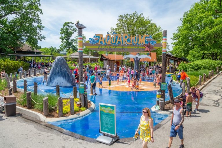 10 BEST ZOOS FOR MICHIGAN FAMILIES TO VISIT - LittleGuide Detroit