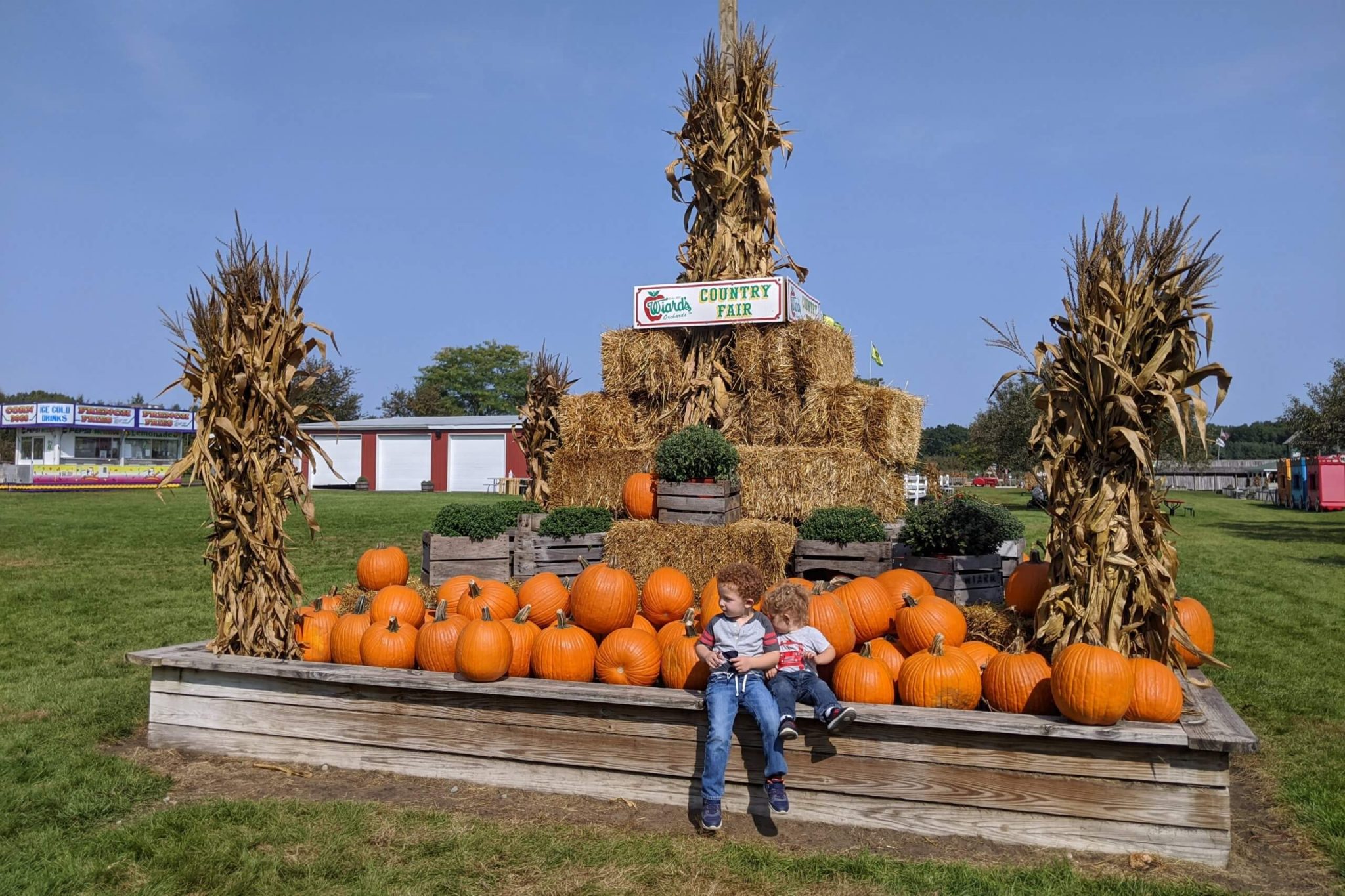 5 Fun Kid-Friendly Fall Activities In Plymouth – LittleGuide Detroit