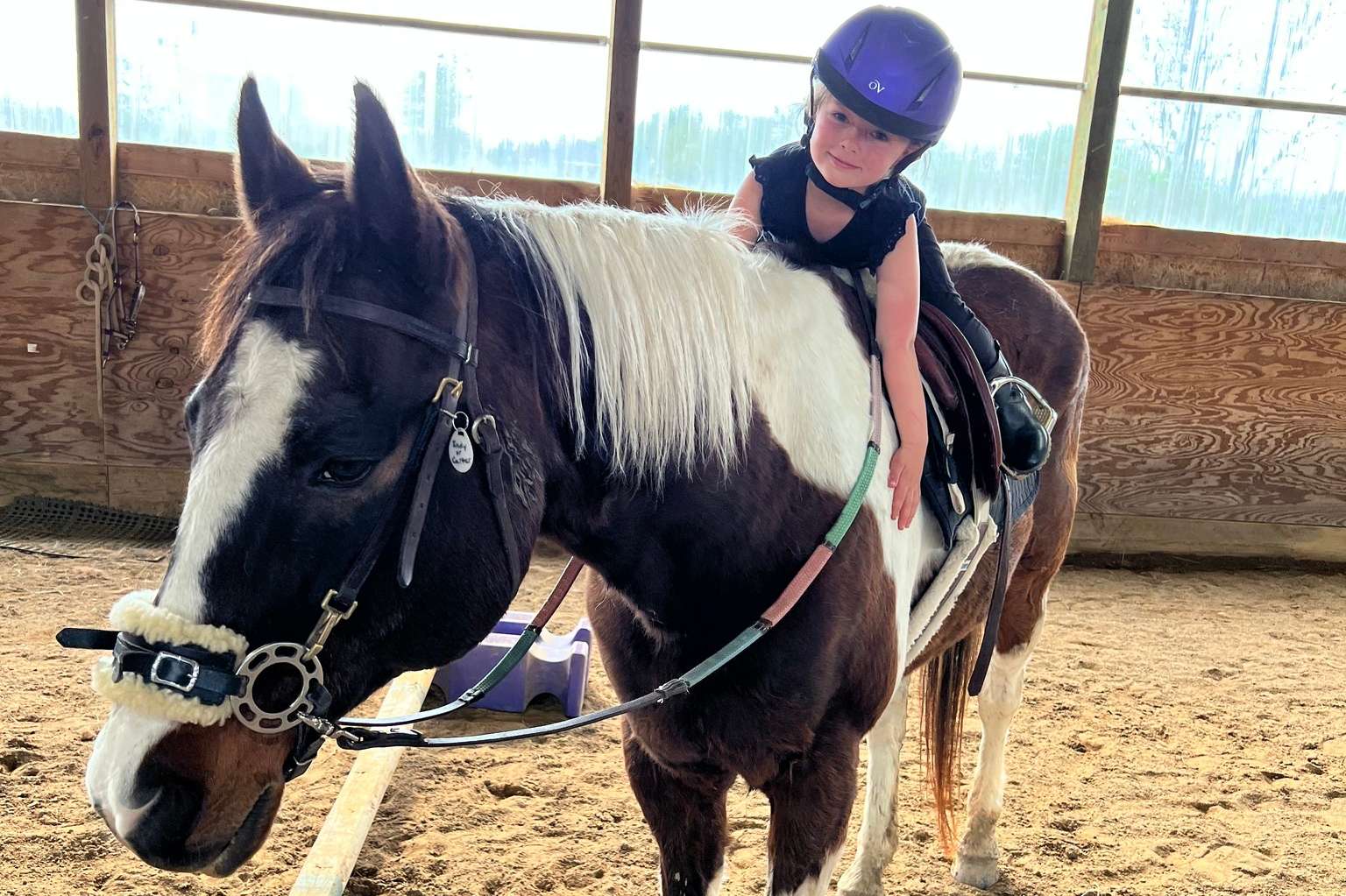 Happy Hooves SEL Farm Camp - LittleGuide Detroit