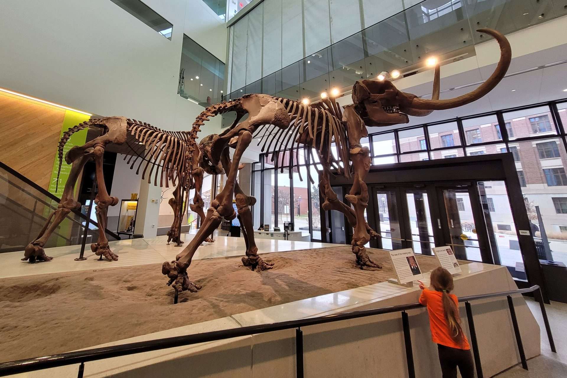 Redford Township Library Announces Expansion Plan to Debut This Fall ...