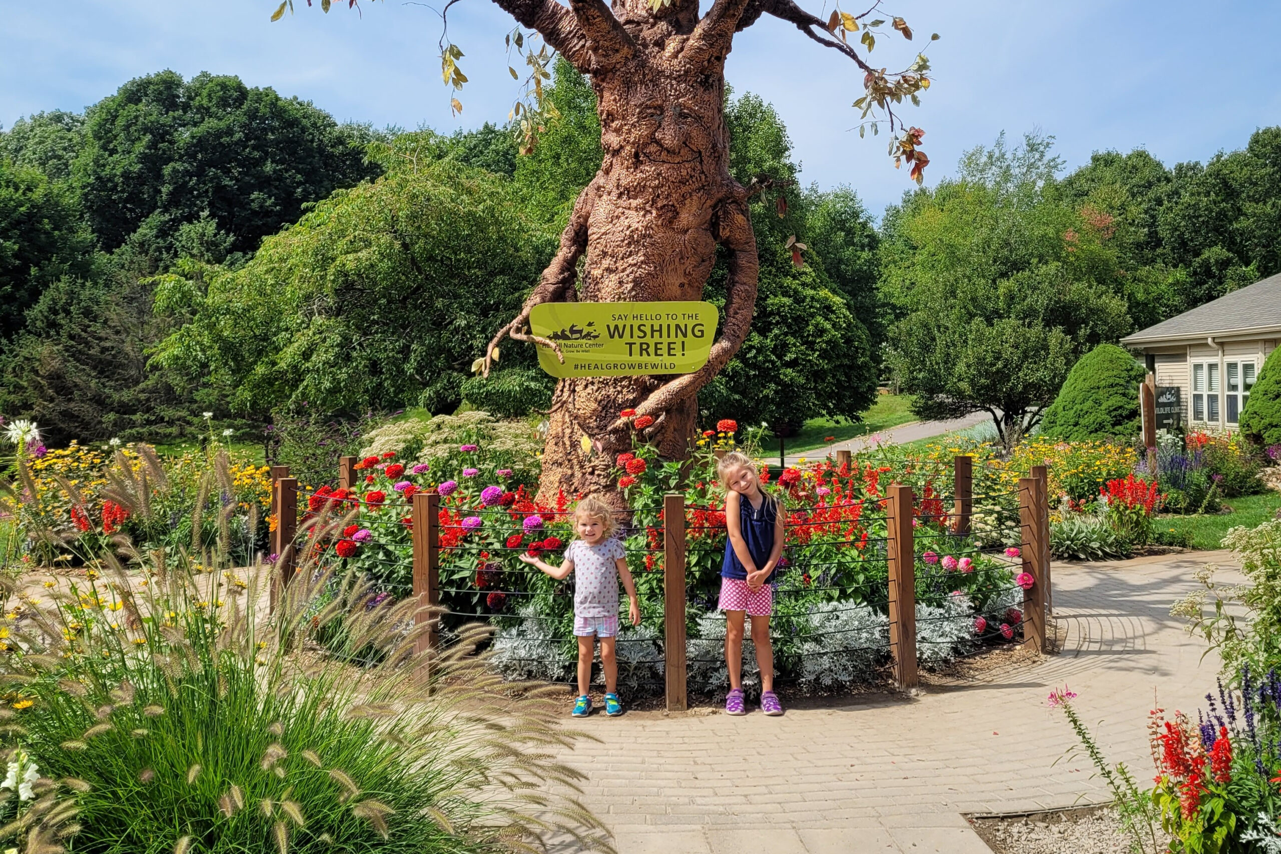 Guide to Virtual Summer Camps – LittleGuide Detroit