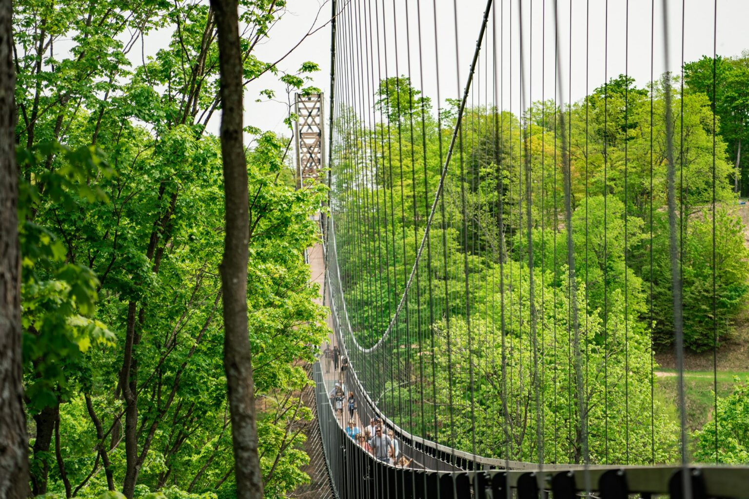 Kid-Friendly Guide to Summer in the Traverse City Area - LittleGuide ...