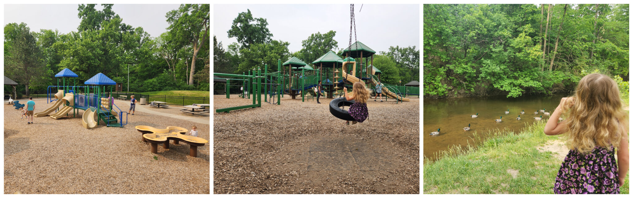 Find A Fenced In Playground In Farmington At Shiawassee Park ...