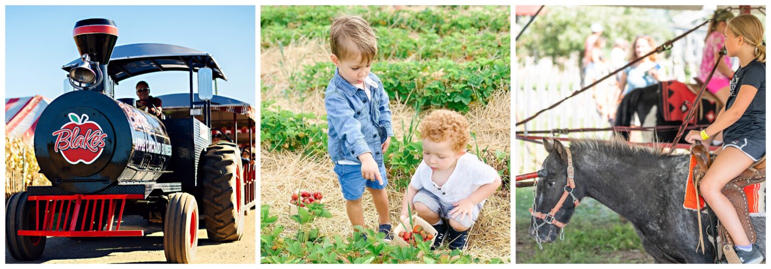 Strawberry U-Pick Season Kicks-Off At Blake Farms - LittleGuide Detroit