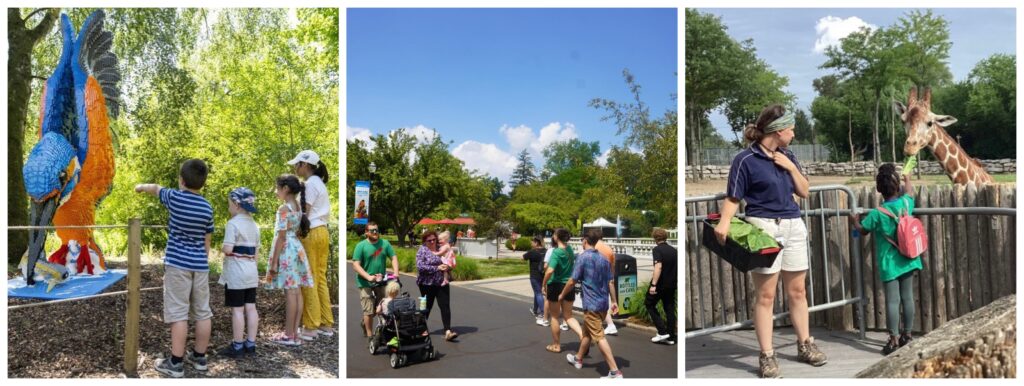 Detroit Zoo Celebrates 95 Years With FREE Admission & Family Friendly ...