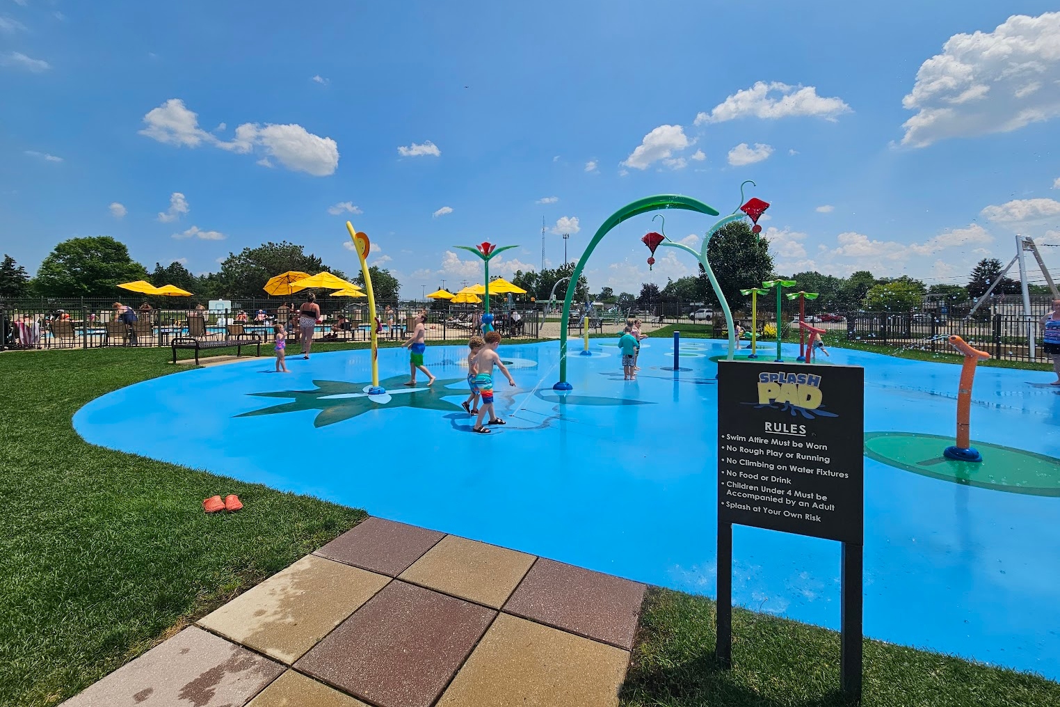 Check Out the New Canopy Walk at MSU’s Hidden Lake Gardens ...