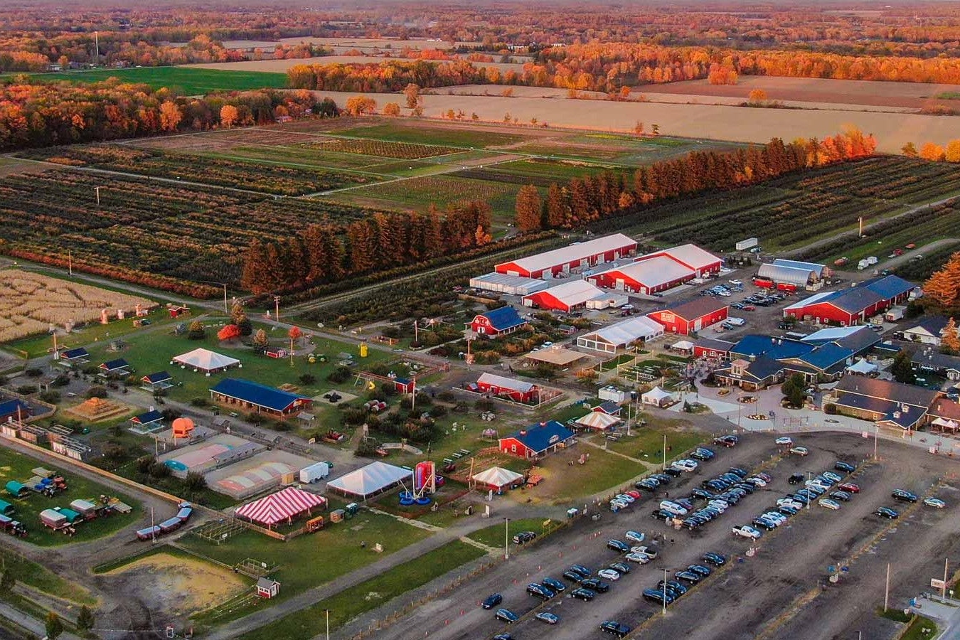 Top Family-Friendly Cider Mills in Metro Detroit - LittleGuide Detroit