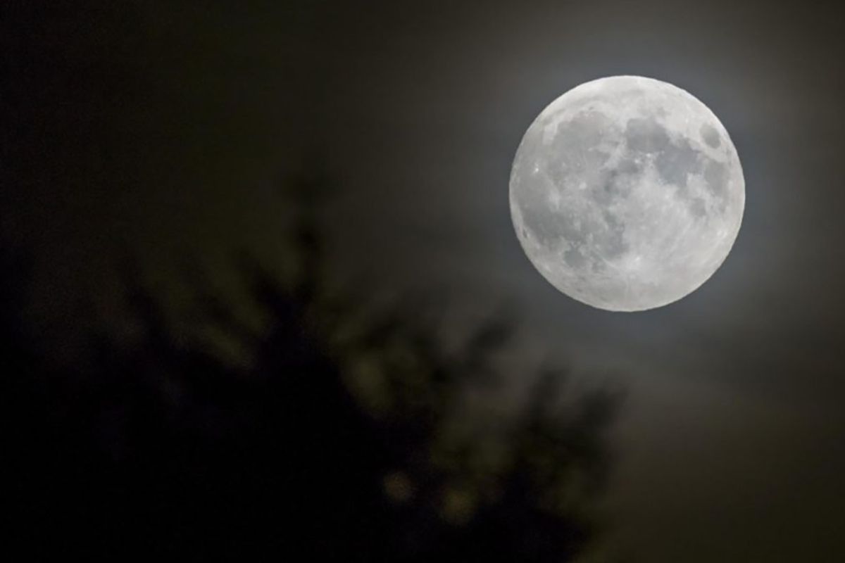 Full Moon Hike - Snow Moon - LittleGuide Detroit