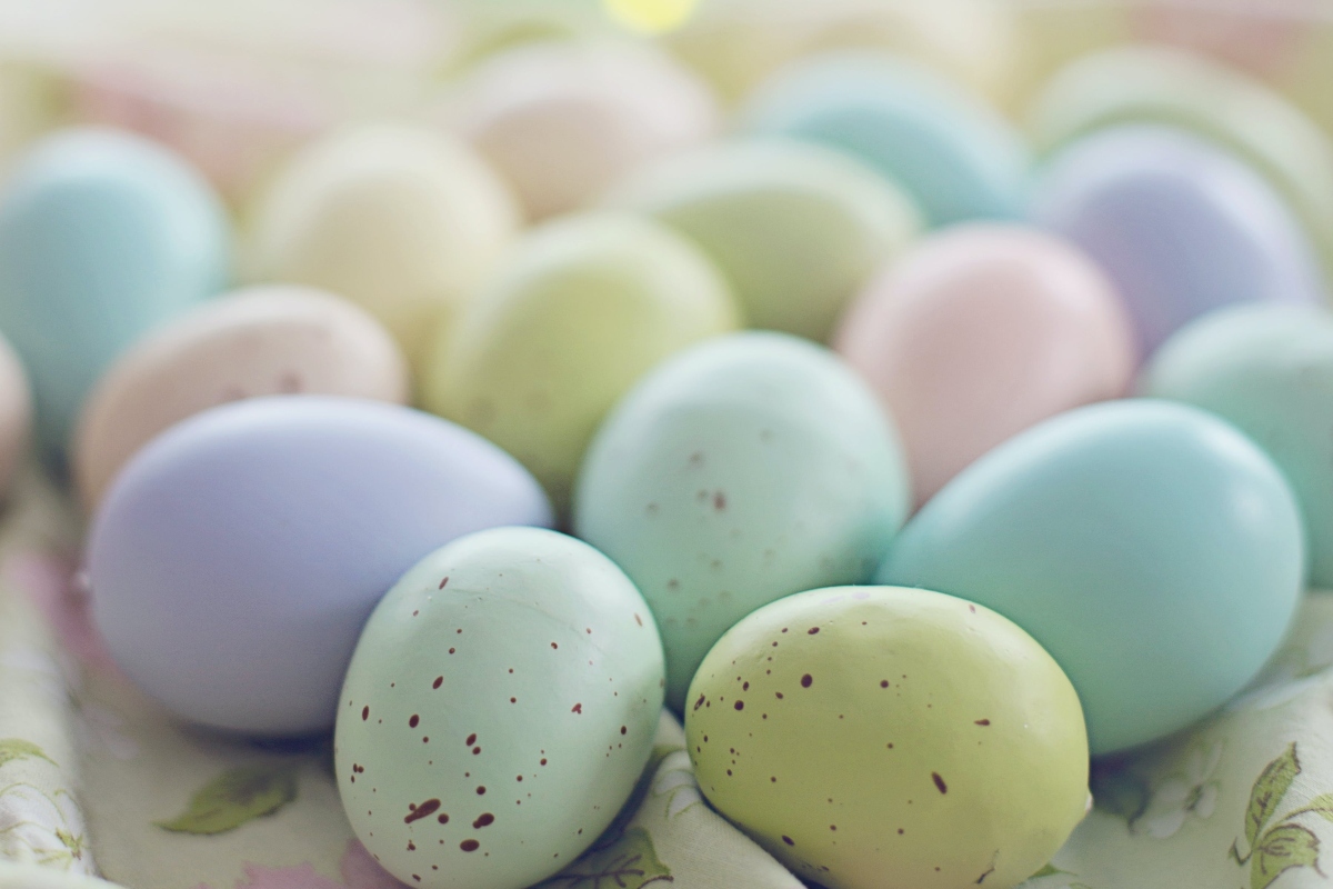 Everything Eggs - LittleGuide Detroit