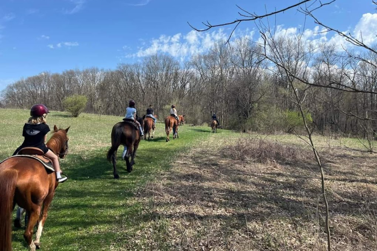 Maybury Stables Reopens For Horseback Riding Fun - LittleGuide Detroit