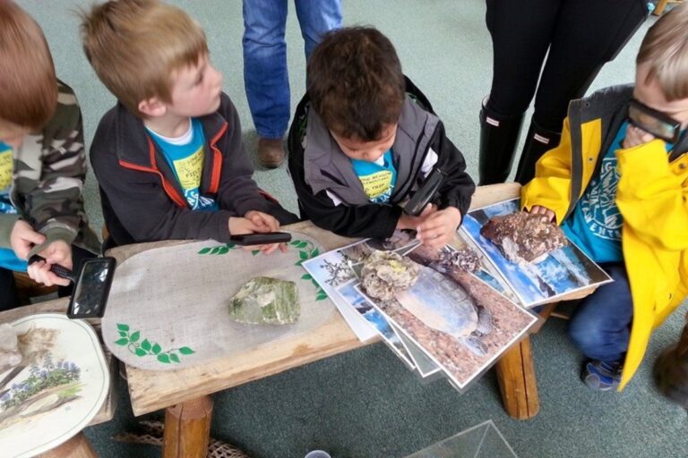 PREK Story & STEAM - LittleGuide Detroit