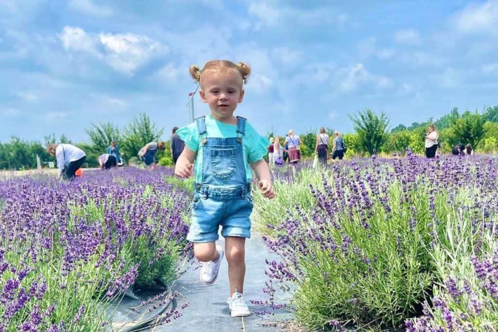4 Reasons To Plan A Family Trip To Blake Farm This Summer - LittleGuide ...
