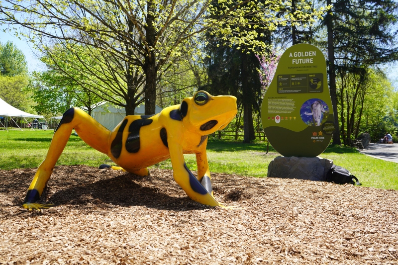 Detroit Zoo Welcomes NEW Oversized, Climbable Animal Structures ...