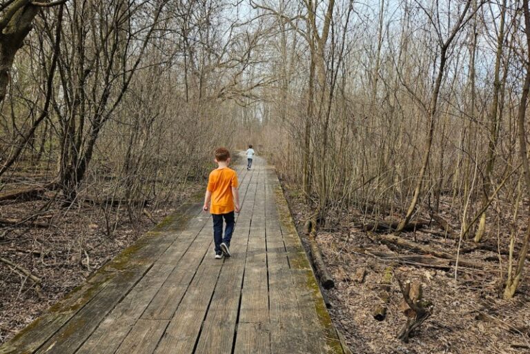 TOP FAMILY-FRIENDLY THINGS TO DO IN Clinton Township - LittleGuide Detroit