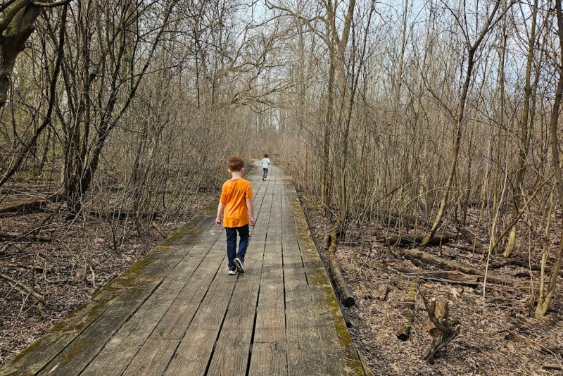 TOP FAMILY-FRIENDLY THINGS TO DO IN Clinton Township - LittleGuide Detroit