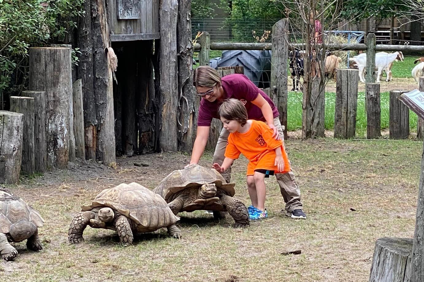 10 BEST ZOOS FOR MICHIGAN FAMILIES TO VISIT - LittleGuide Detroit