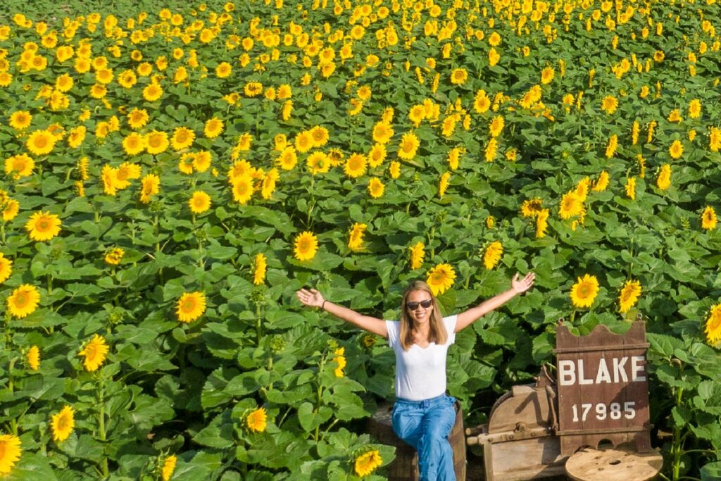 4 Reasons To Plan A Family Trip To Blake Farm This Summer - LittleGuide ...