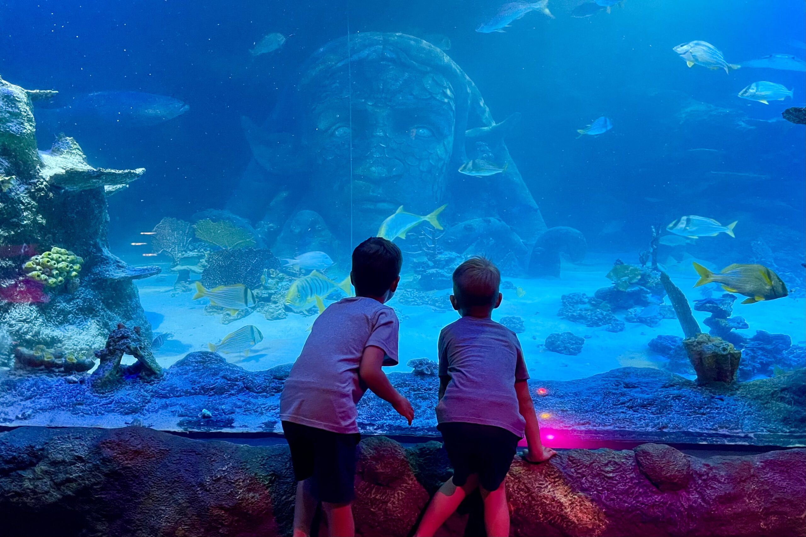 Giveaways - LittleGuide Detroit