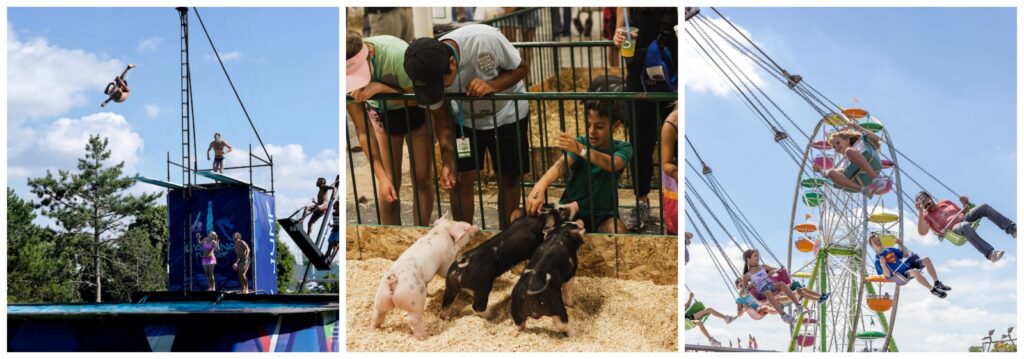 5 Kid-Friendly Activities at The Michigan State Fair - LittleGuide Detroit