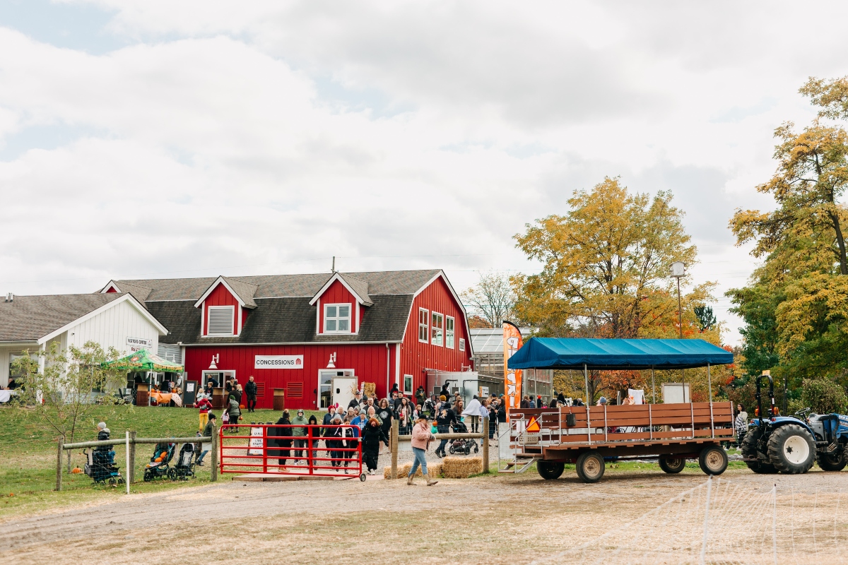 Fall Festival - LittleGuide Detroit