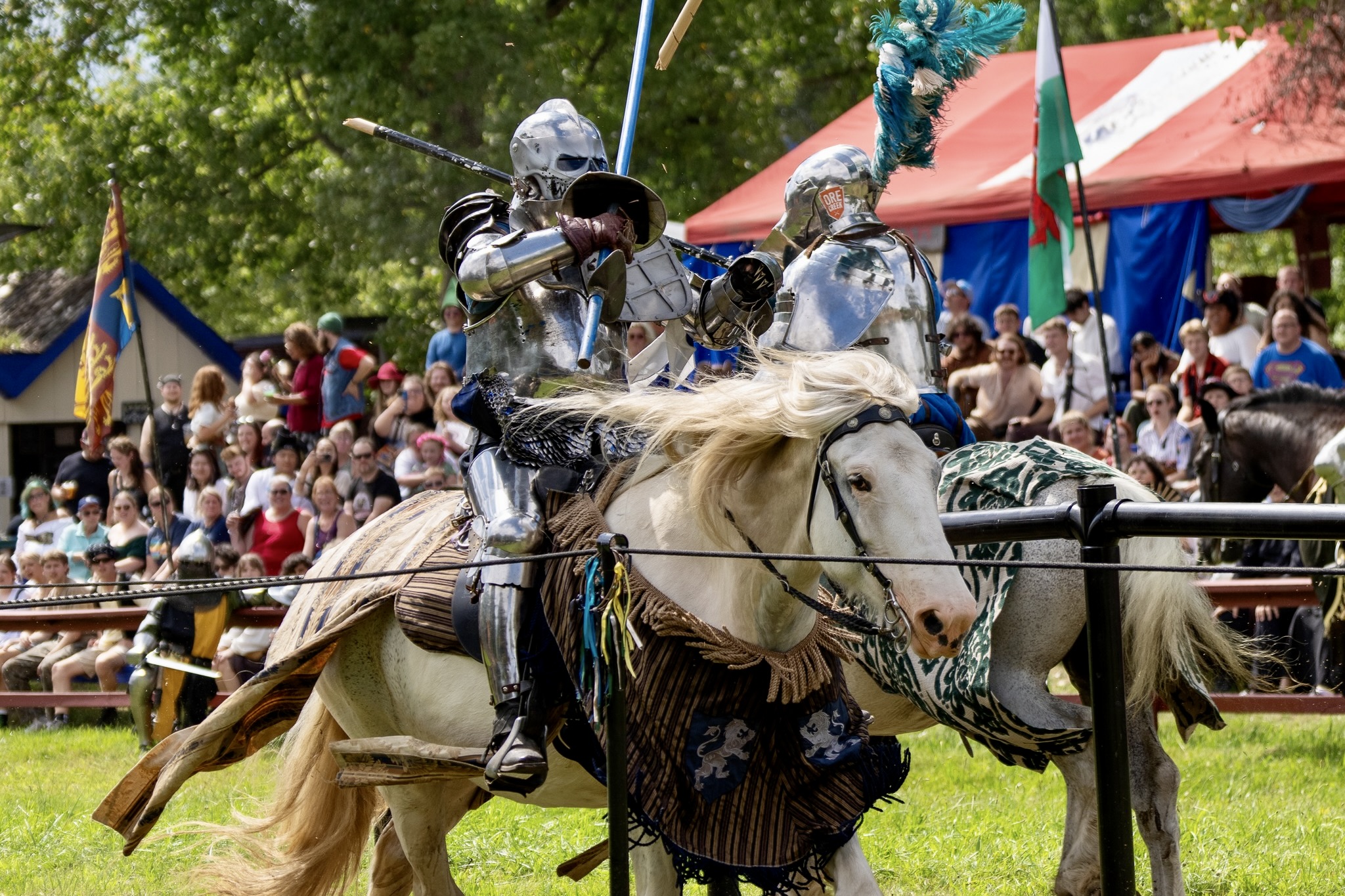 Michigan Renaissance Festival