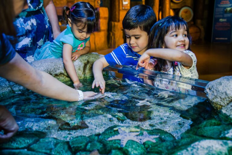 10 Fun + Educational Field Trip Ideas For Students - LittleGuide Detroit