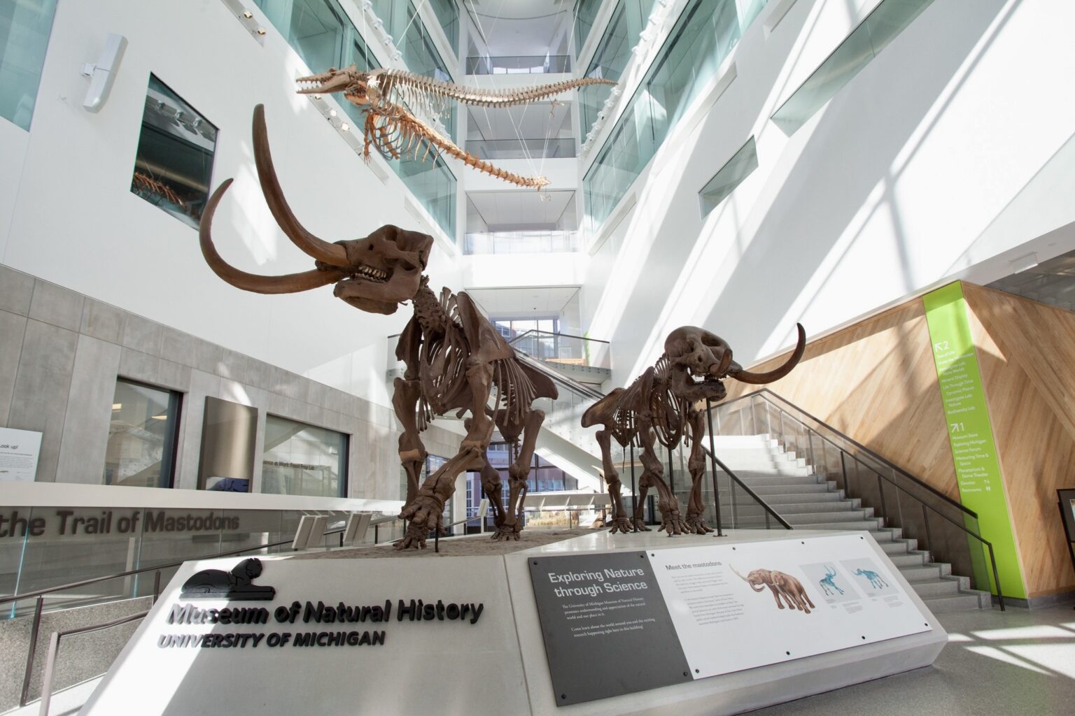FREE Museum Admission & Events in May in Metro Detroit - LittleGuide ...