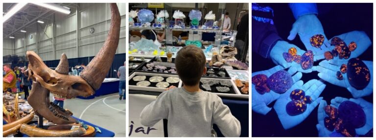 Greater Detroit Gem, Mineral & Fossil Show Coming To Detroit ...