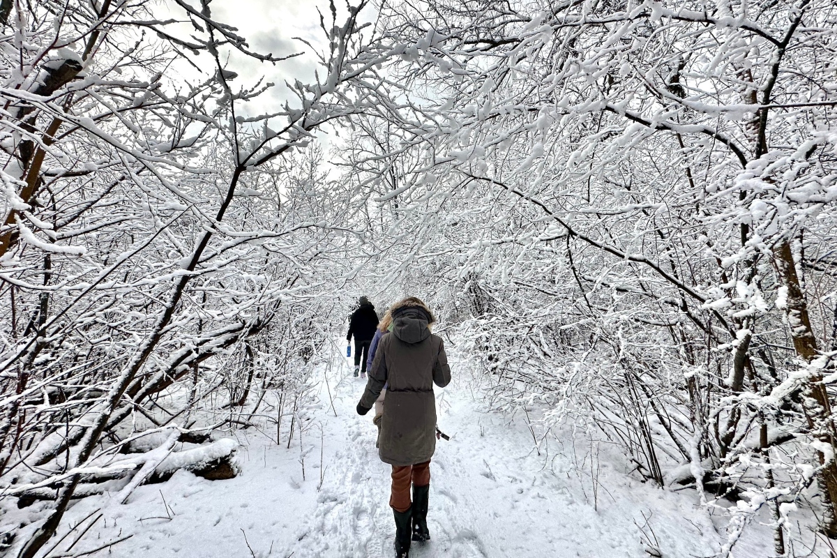 Where to Celebrate the Winter Solstice With Kids in Metro Detroit ...