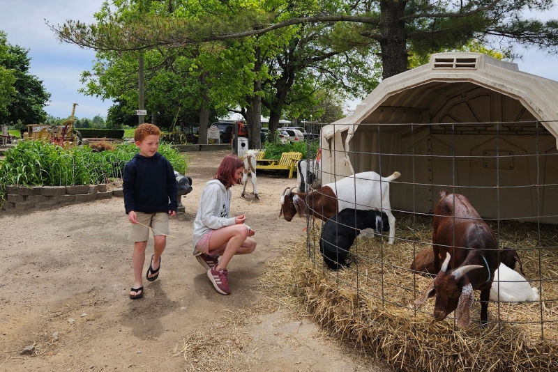 Take A Trip To Calder Dairy & Farm For A Sweet Treat and Animal Visit ...