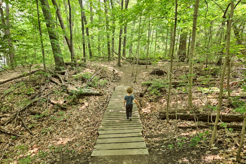 Popular Nature Trails In Metro Detroit - LittleGuide Detroit