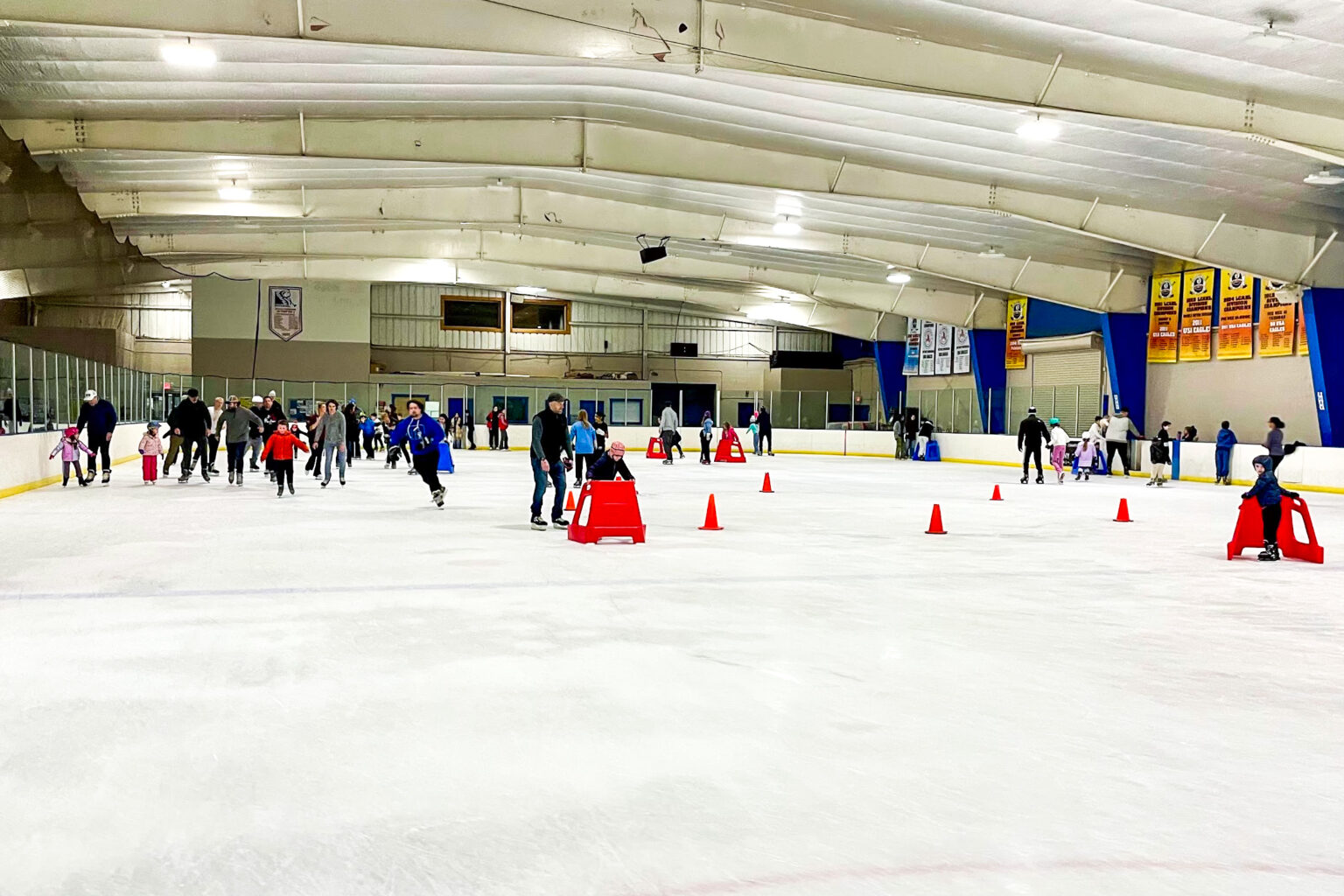 20 Ice Rinks with Open Skate Times in Metro Detroit - LittleGuide Detroit