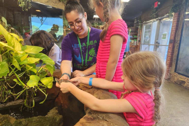 Tiny Tot Explorers - LittleGuide Detroit