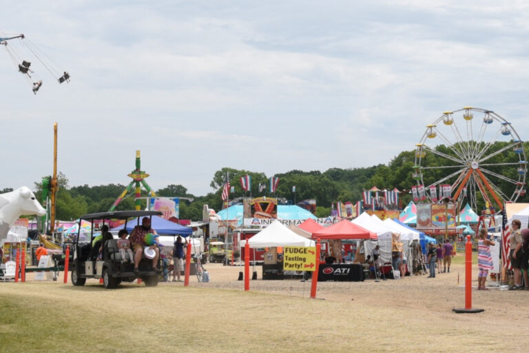 Hamburg Family Fun Fest - LittleGuide Detroit