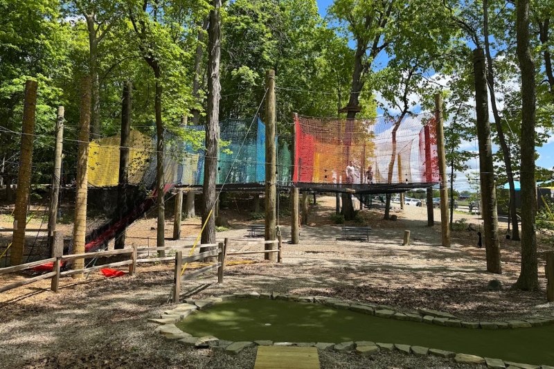 Check Out TreeRunner Adventure Park Rochester and the New Bounce Forest ...