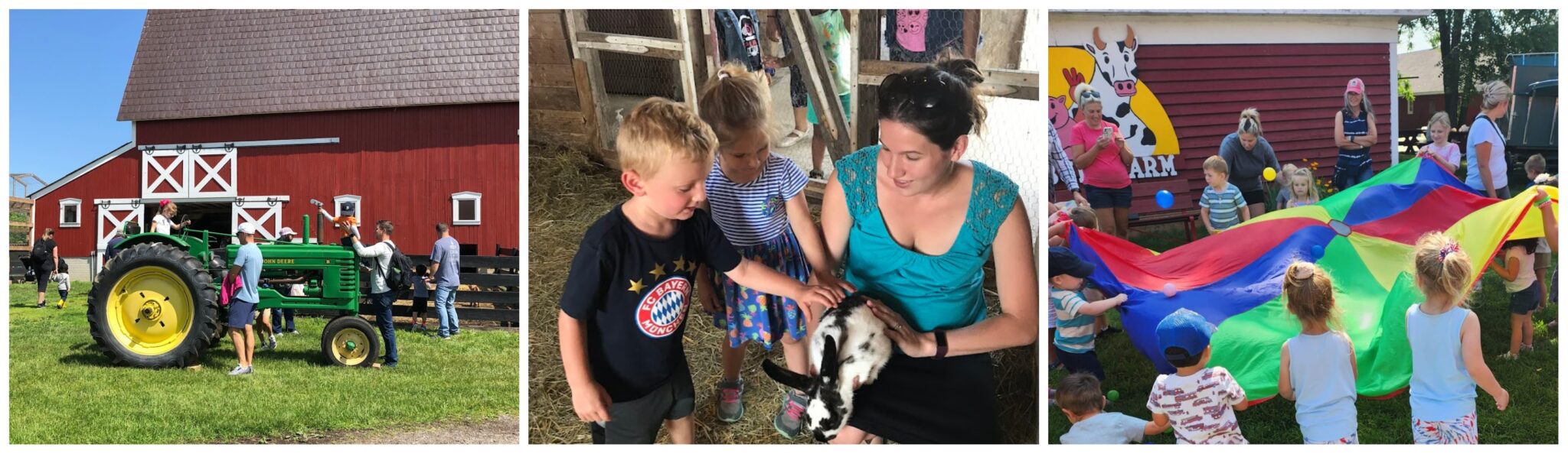 5 Reasons to Visit Maybury Farm this Summer - LittleGuide Detroit