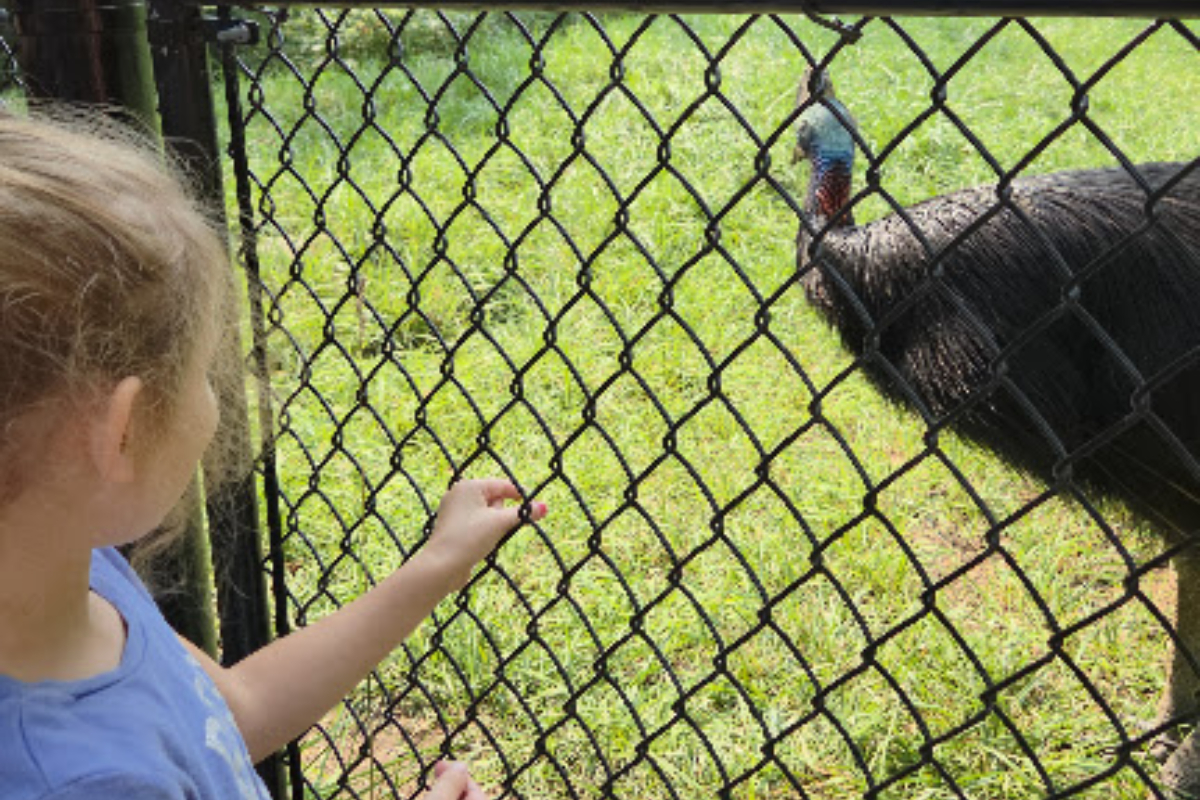 Spend the day at Binder Park Zoo! - LittleGuide Detroit