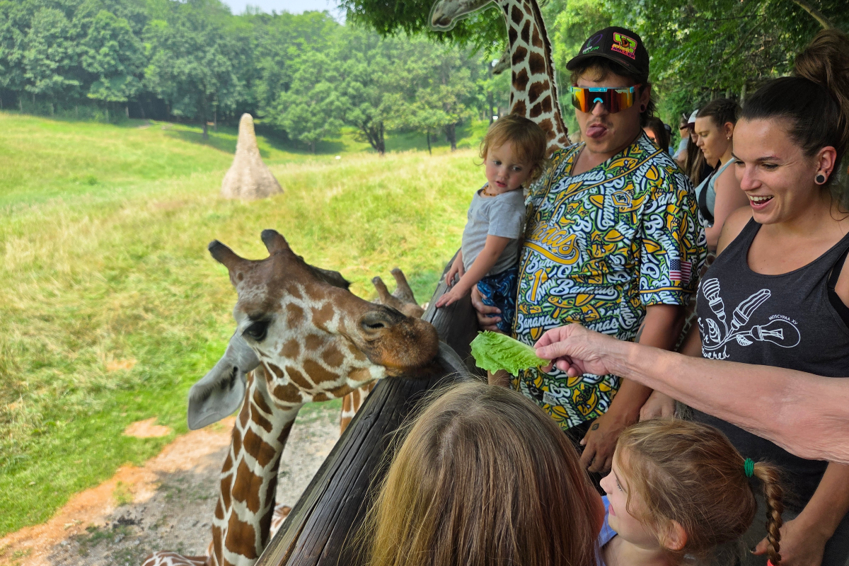 10 Ninja Gyms + Classes For Kids In Metro Detroit - LittleGuide Detroit