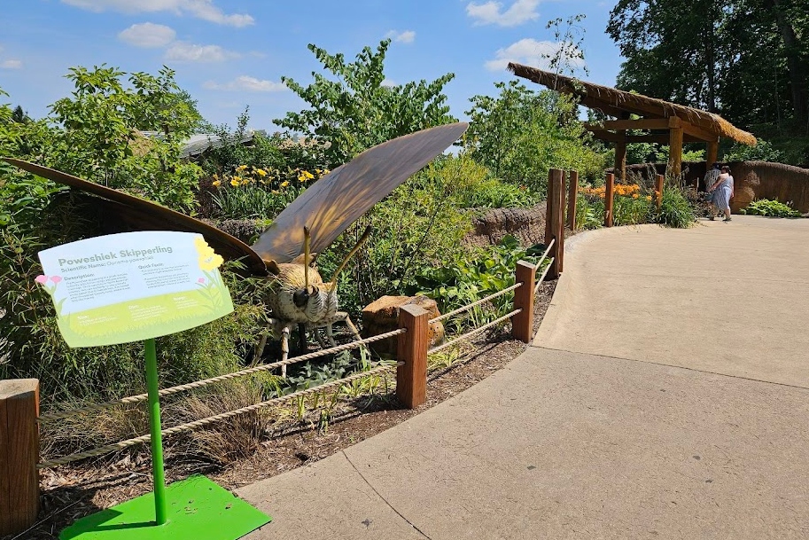 Meet Giant Bugs at John Ball Zoo’s New “Power of Pollinators” Exhibit ...