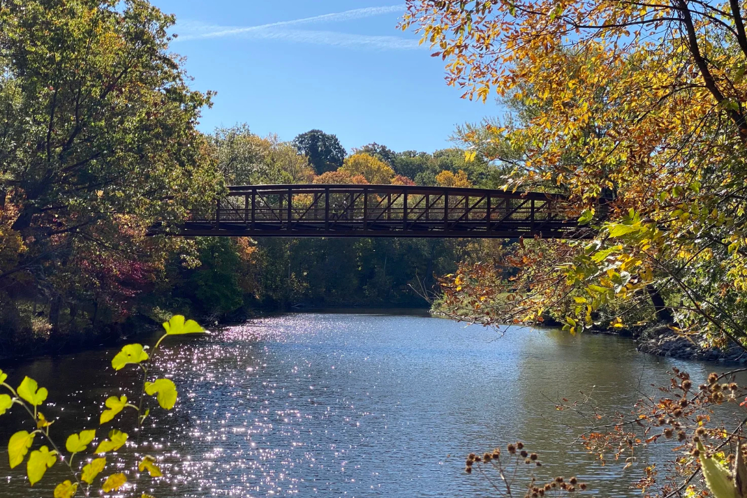 Howell Nature Center Offers Trails, Treehouses & Animals - LittleGuide ...