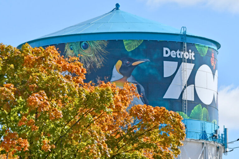 9 Reasons To Visit The Detroit Zoo This Fall - LittleGuide Detroit