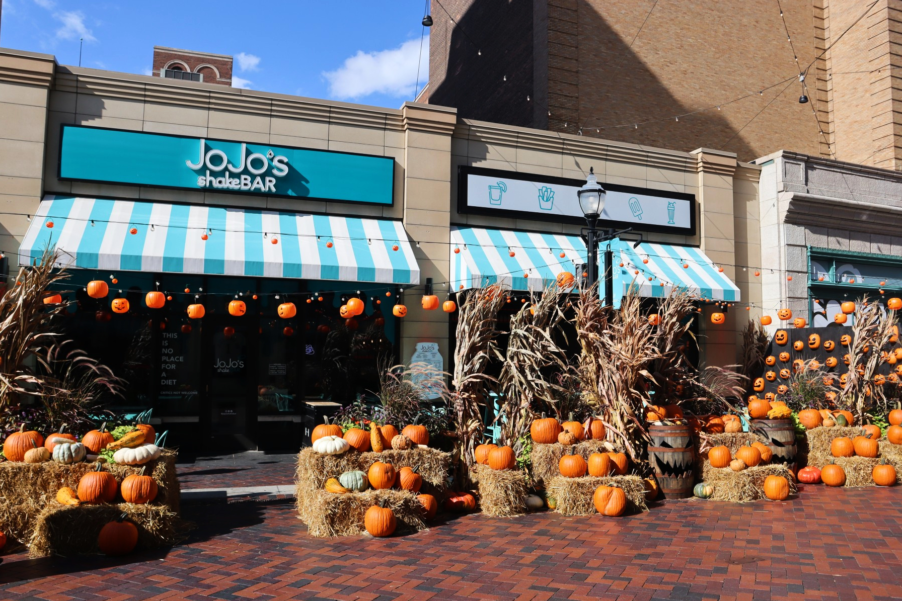 Check Out TreeRunner Adventure Park Rochester and the New Bounce Forest ...