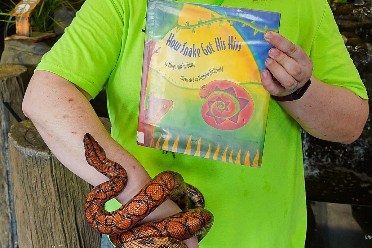 Storytime with Finn the Frog - LittleGuide Detroit