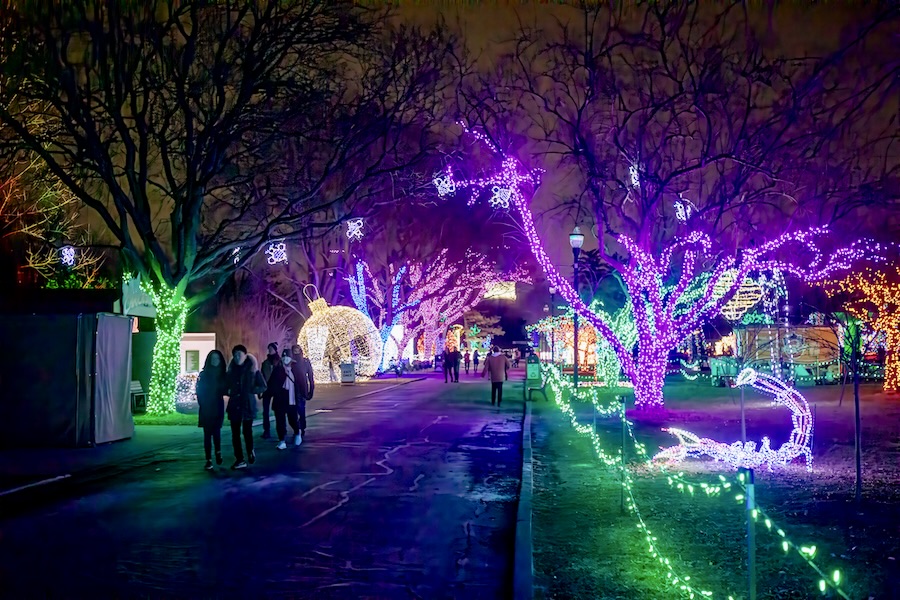 Wild Lights Returns to the Detroit Zoo This Holiday Season — Bigger ...