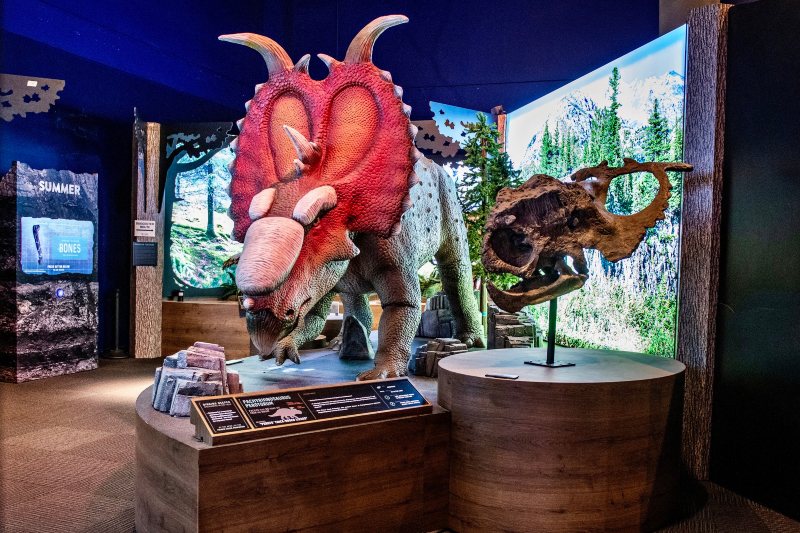 4 Traveling Children’s Exhibits For Michigan Families To Visit This ...