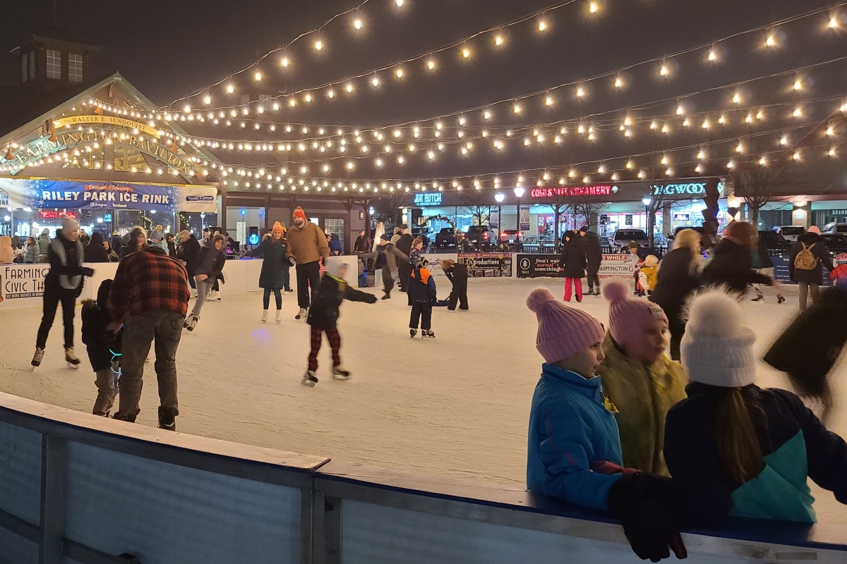 Valentine Ice Skate - LittleGuide Detroit